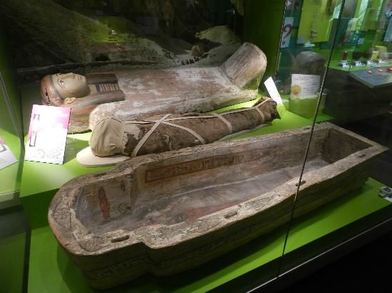 Tchaenhotep Louisville's Ancient Egyptian Mummy - DIGI Media